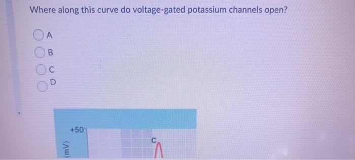 Solved Where along this curve do voltage-gated potassium | Chegg.com