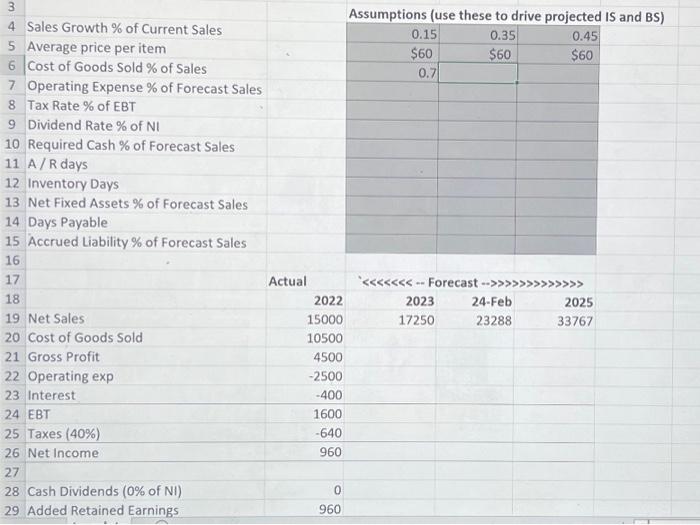 Solved Project 2023 - 2025 Income Statement and Balance | Chegg.com