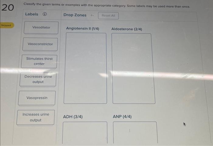 Solved Classify the given terms or examples with the | Chegg.com