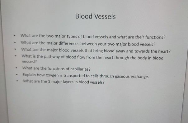 Solved Blood Vessels . . What are the two major types of | Chegg.com