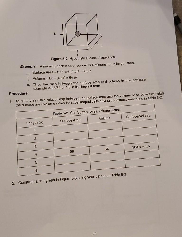Solved Figure 5-2 Hypothetical cube shaped cell. Example: | Chegg.com