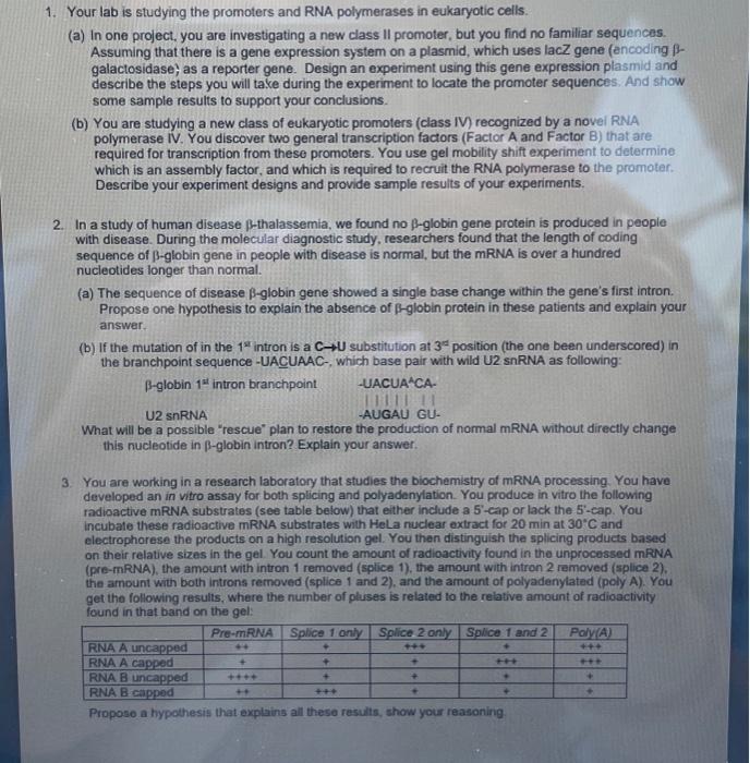 Solved 1. Your lab is studying the promoters and RNA | Chegg.com