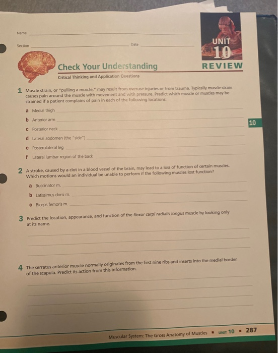 Solved Name UNIT Section Date 10 REVIEW Check Your | Chegg.com