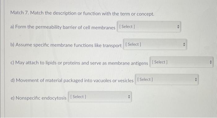 Solved Match 7. Match the description or function with the | Chegg.com