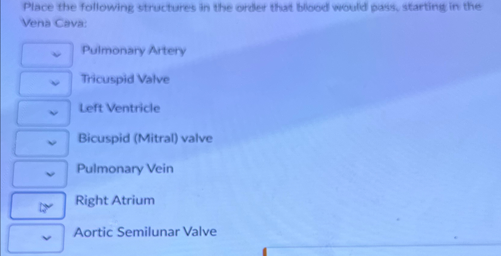 Solved Place the following structures in the order that | Chegg.com