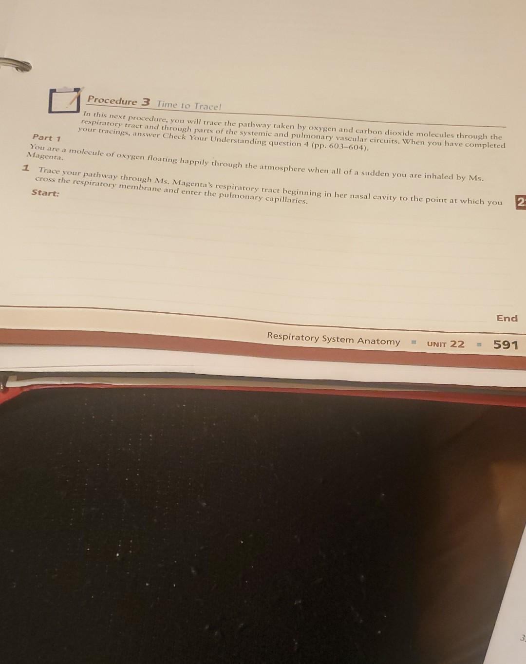 Solved Procedure 3 Time to Trace! In this next procedure, | Chegg.com