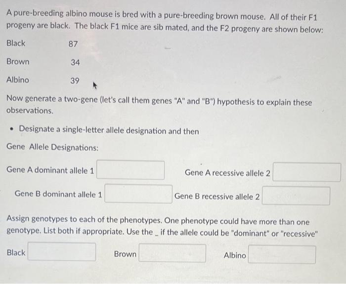 Solved A pure-breeding albino mouse is bred with a | Chegg.com