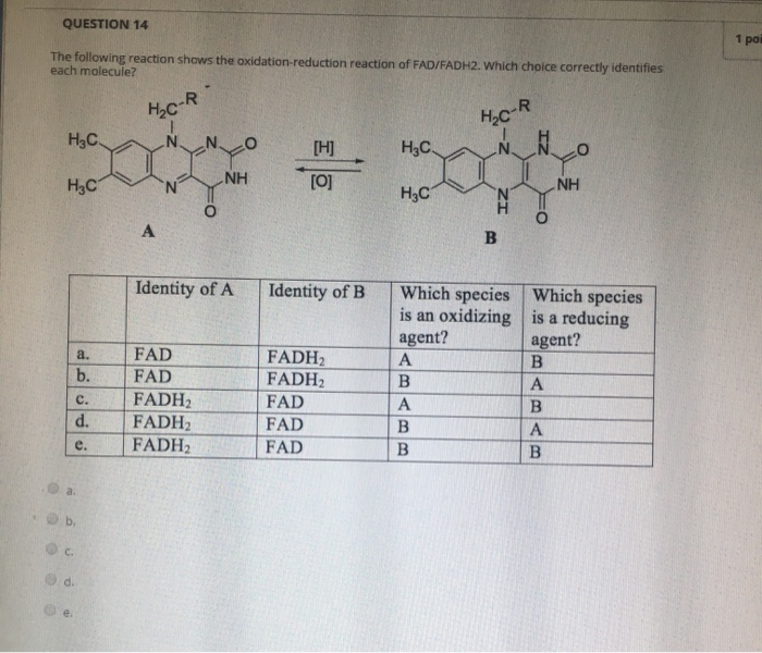 Solved QUESTION 14 1 po The following reaction shows the | Chegg.com