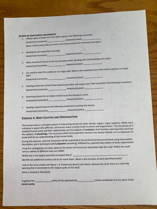 Solved REVIEW OF ANATOMICAL MOVEMENTS 1 Uhing a glass of | Chegg.com