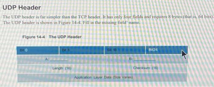 Solved UDP Header The UDP header is far simpler than the TCP | Chegg.com