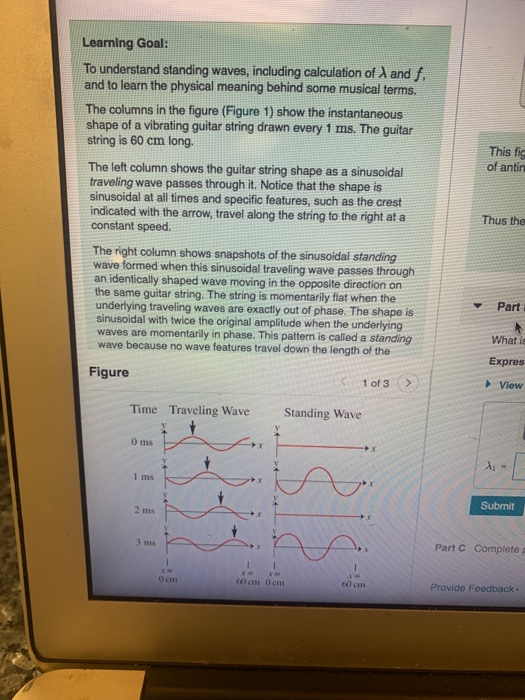 Solved This fig of antin Learning Goal: To understand | Chegg.com