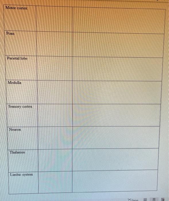 Solved Brain assignment For this assignment, both | Chegg.com