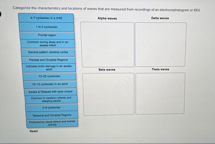 Solved Categorize the characteristics and locations of waves | Chegg.com Solved Categorize the characteristics and locations of waves | Chegg.com