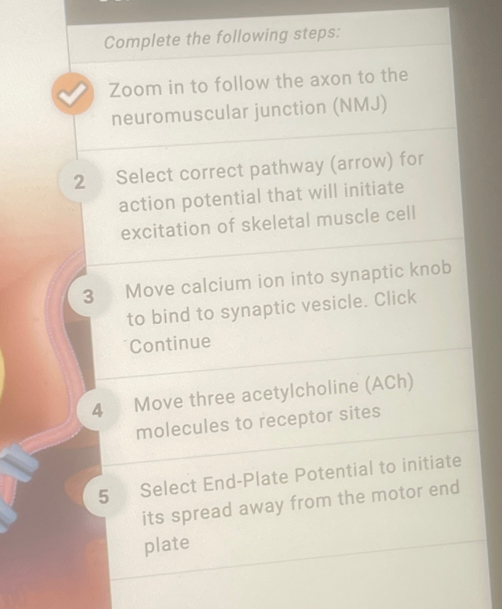 Complete the following steps:Zoom in to follow the | Chegg.com