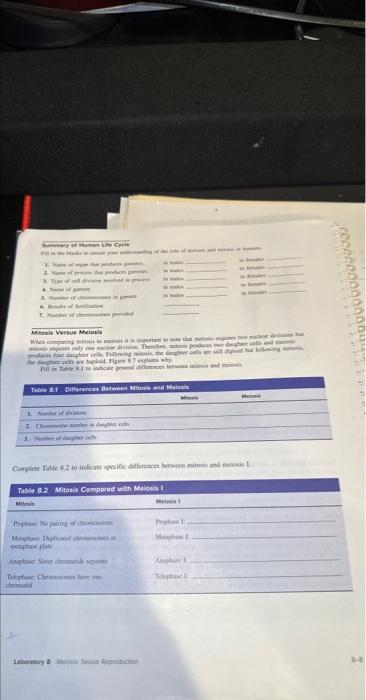 Solved Summary of Human Life Cycle Fill in the blanks to | Chegg.com
