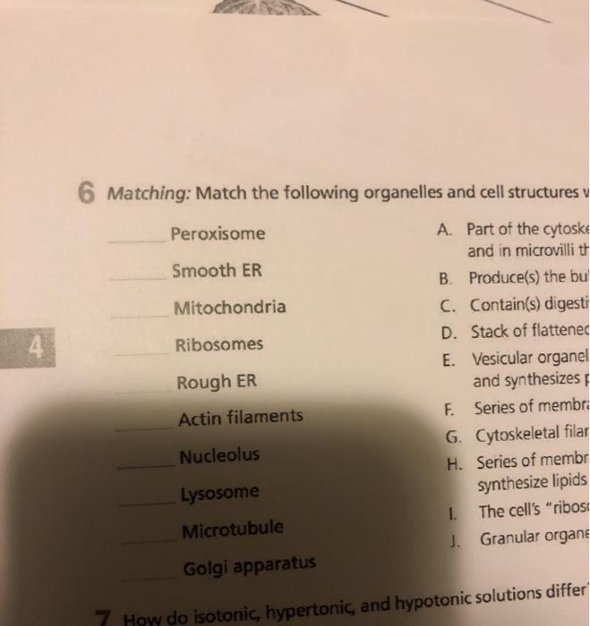 6 Matching: Match the following organelles and cell | Chegg.com