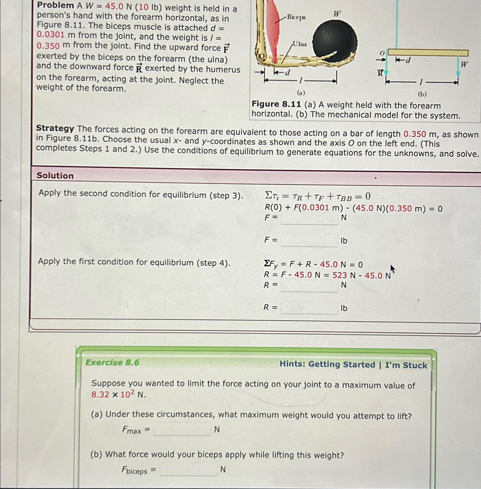 Solved Problem A W=45.0N(10lb) ﻿weight is held in a person's | Chegg.com