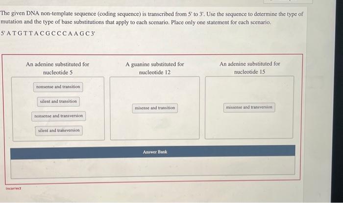 Solved The given DNA non-template sequence (coding sequence) | Chegg.com Solved The given DNA non-template sequence (coding sequence) | Chegg.com