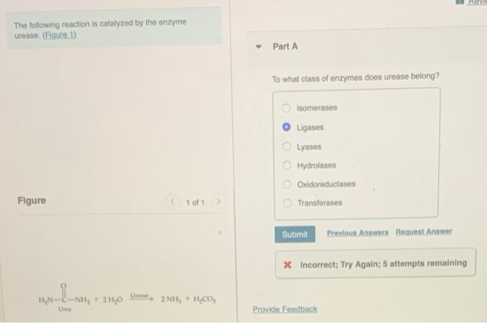 Solved Ren The following reaction is catalyzed by the enzyme | Chegg.com
