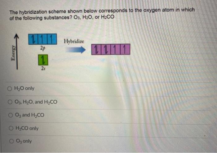 Solved The hybridization scheme shown below corresponds to | Chegg.com
