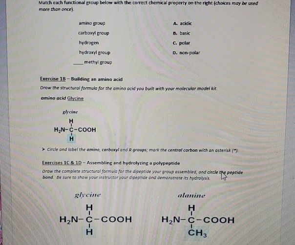 Solved Match each functional group below with the correct | Chegg.com