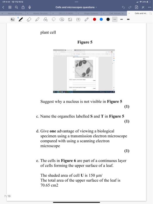 Solved Cells and microscopes questions 1. Uronema marinum is | Chegg.com