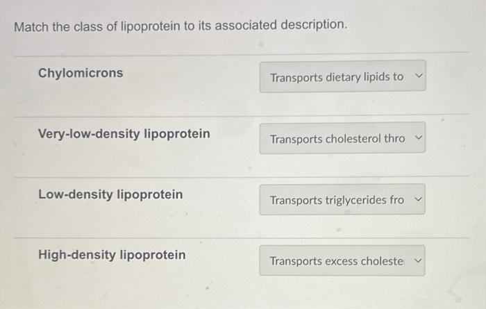 Solved Match the metabolic process with its proper | Chegg.com