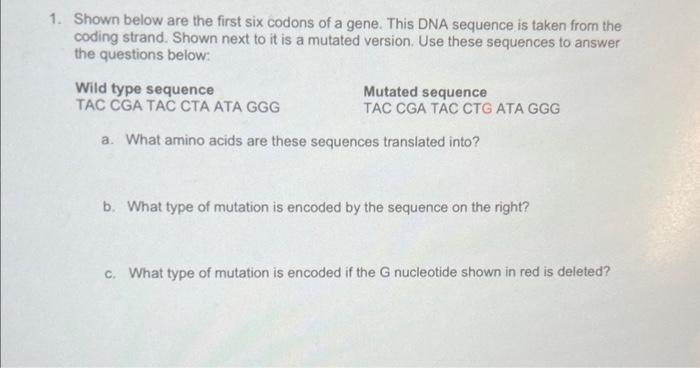 Solved Shown below are the first six codons of a gene. This | Chegg.com