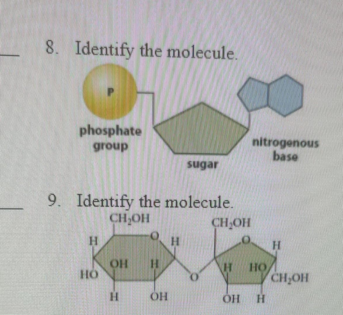 Solved 8. Identify the molecule. 9. Identify the molecule. | Chegg.com