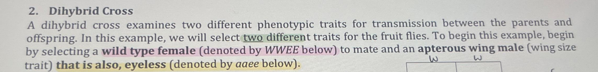 Solved Dihybrid CrossA dihybrid cross examines two different | Chegg.com