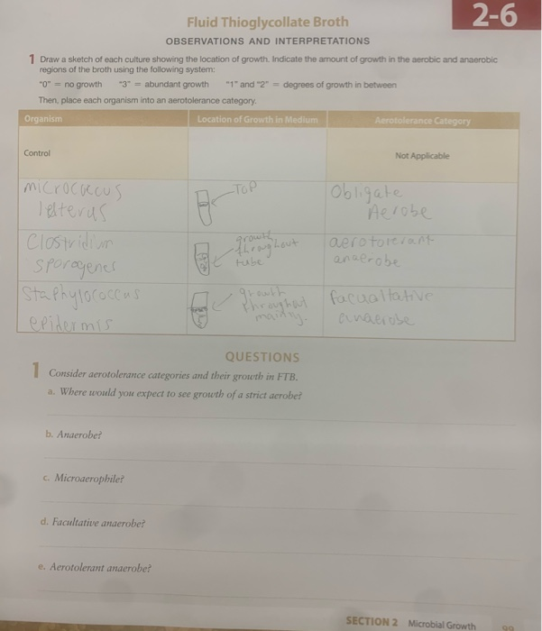 Solved 2-6 Fluid Thioglycollate Broth OBSERVATIONS AND | Chegg.com