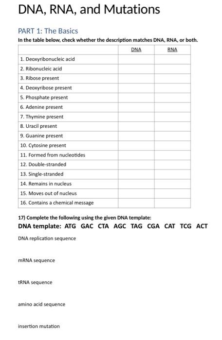 Solved DNA, RNA, and Mutations PART 1: The Basics In the | Chegg.com