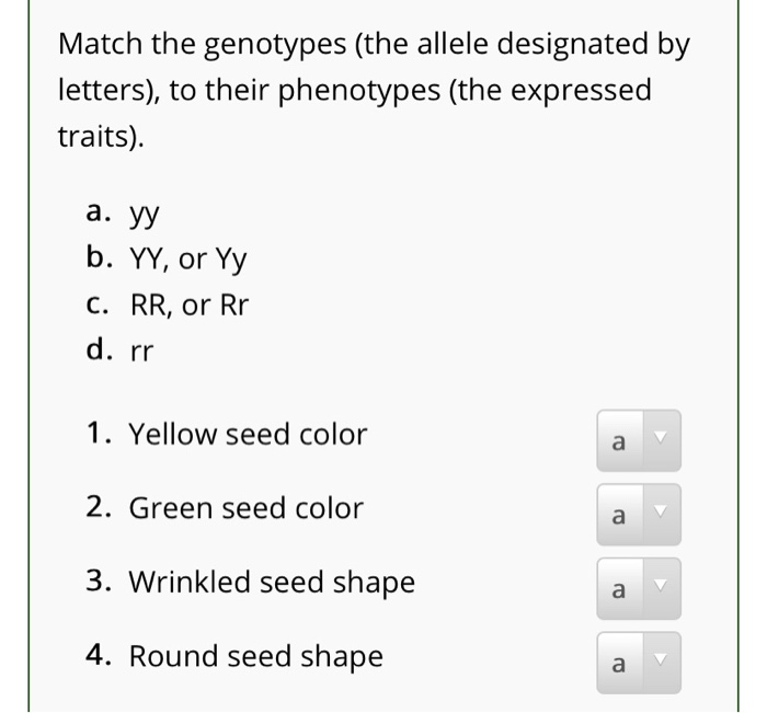 Solved Match the genotypes (the allele designated by | Chegg.com
