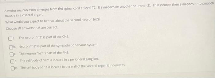 Solved A motor neuron axon emerges from thu spinal cord at | Chegg.com