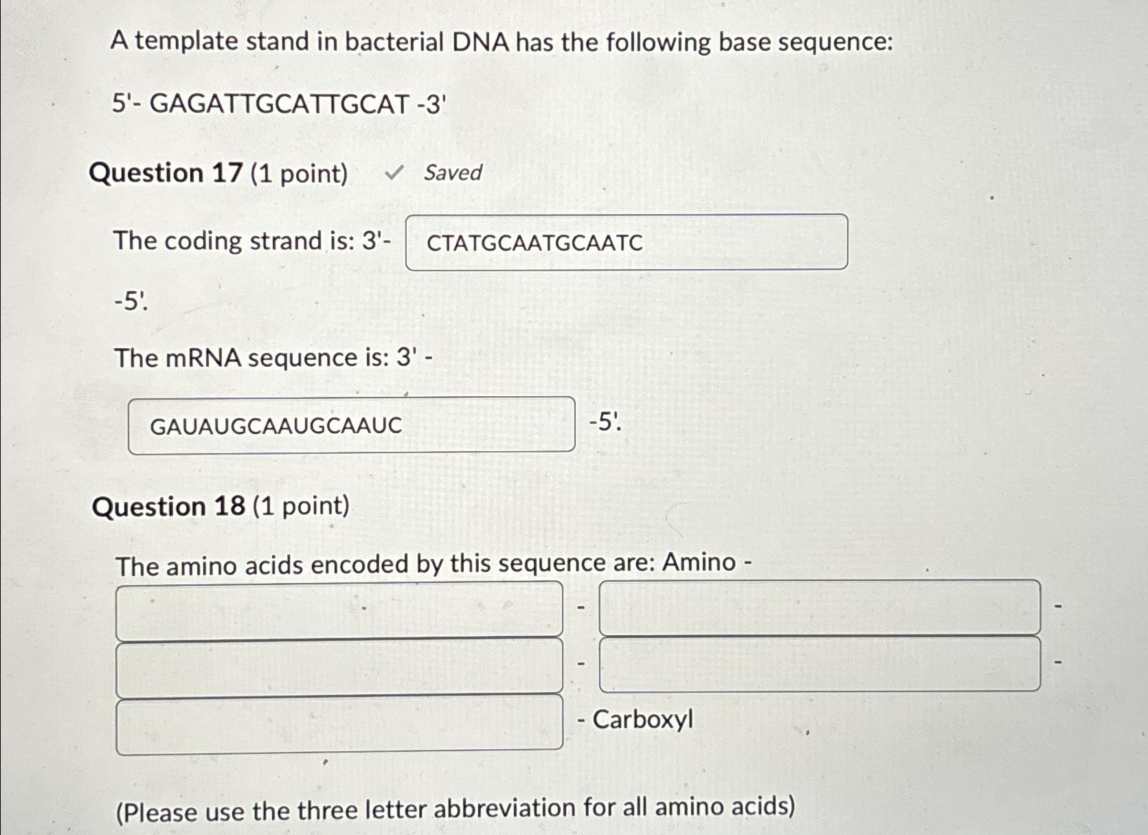 Solved A template stand in bacterial DNA has the following | Chegg.com