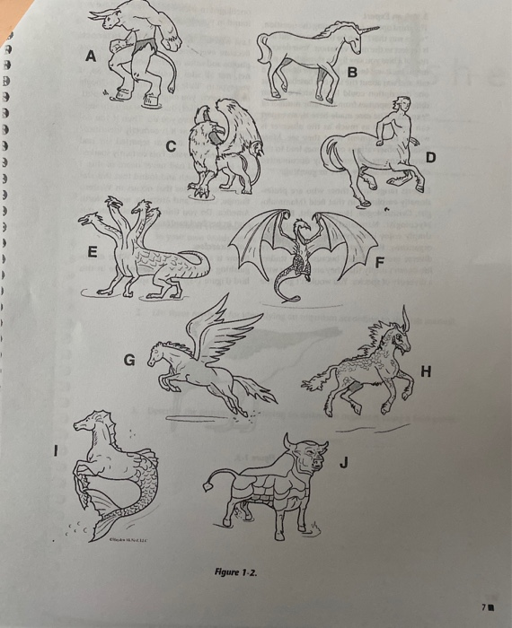 Solved 2. Dichotomous Key Lab Exercise: Another means of | Chegg.com
