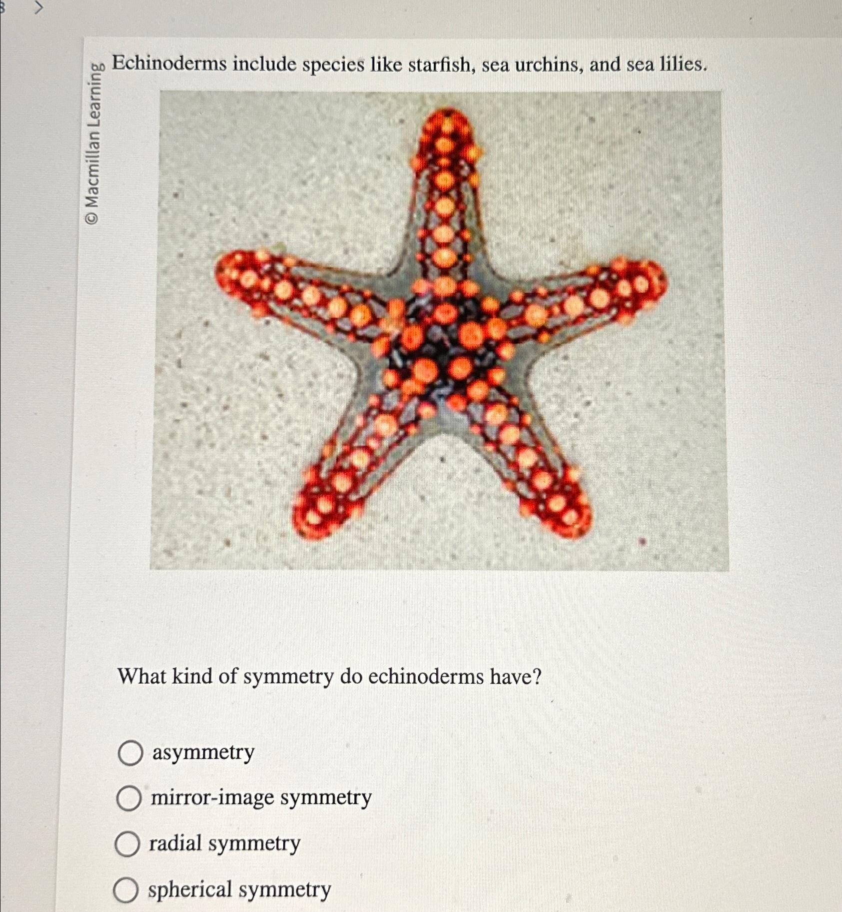 Solved Echinoderms include species like starfish, sea | Chegg.com