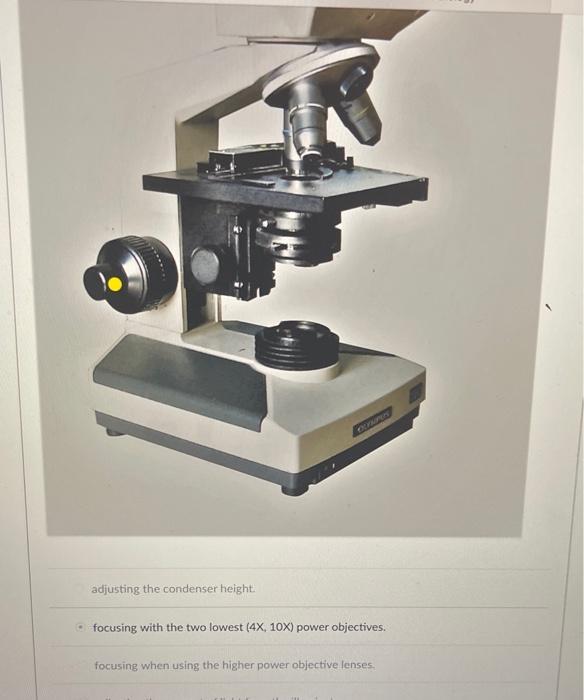 Solved adjusting the condenser height: • focusing with the | Chegg.com