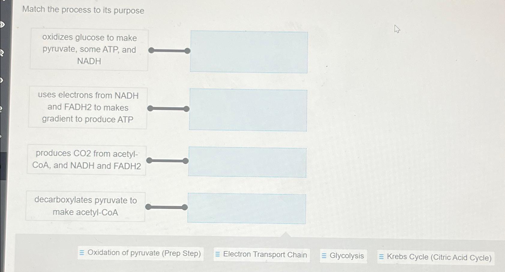 Solved Match the process to its purposeoxidizes glucose to | Chegg.com