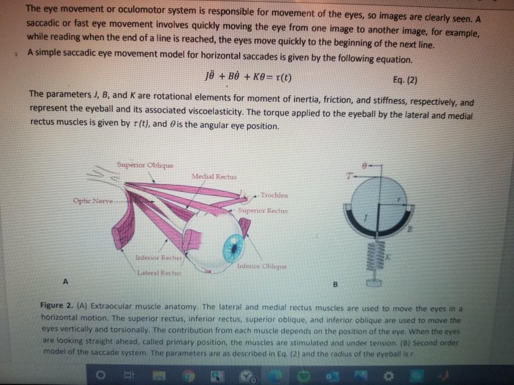 The eye movement or oculomotor system is responsible | Chegg.com