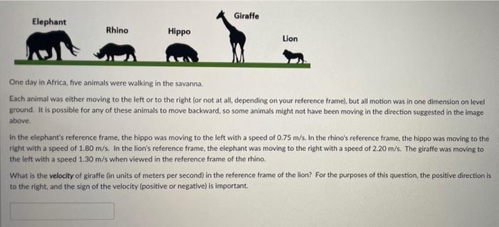 Solved Giraffe Elephant Rhino Hippo Lion One day in Africa, | Chegg.com