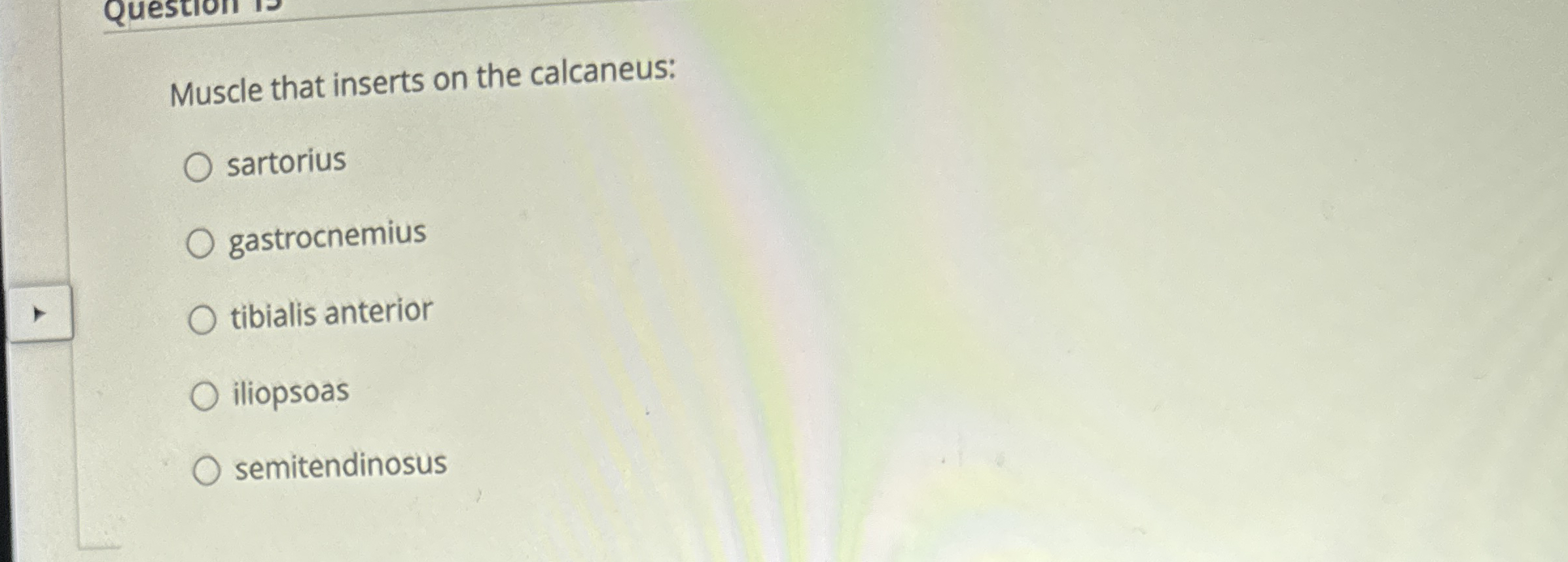 Solved Muscle that inserts on the | Chegg.com