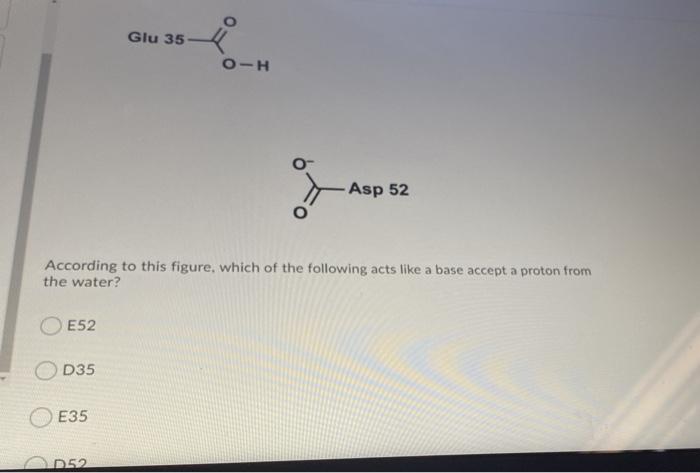 Solved Glu 35 O-H Asp 52 According to this figure, which of | Chegg.com