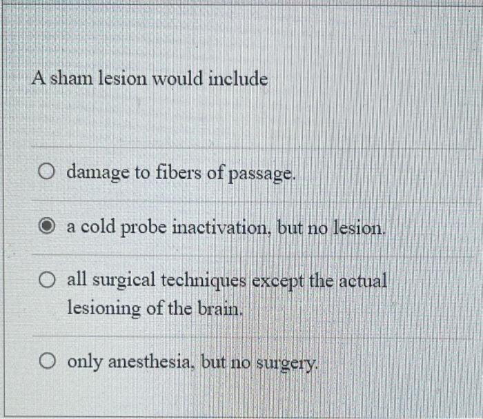 Solved A sham lesion would include O damage to fibers of | Chegg.com