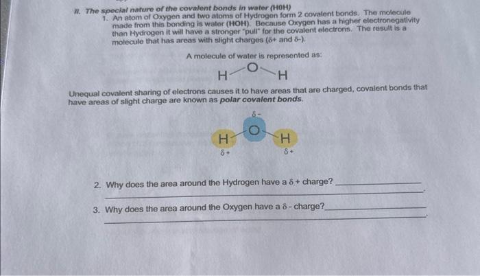 Solved n. The special nature of the covalent bonds in water | Chegg.com