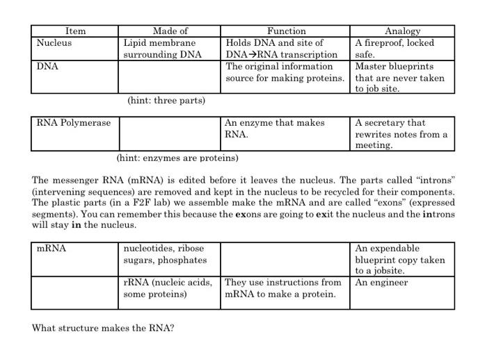 Solved (hint: three parts) (hint: enzymes are proteins) The | Chegg.com