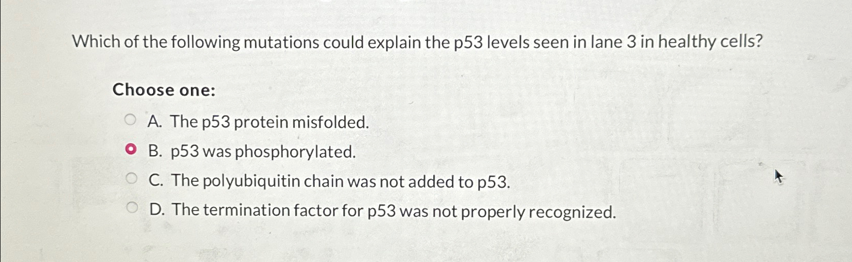 Solved Which Of The Following Mutations Could Explain The