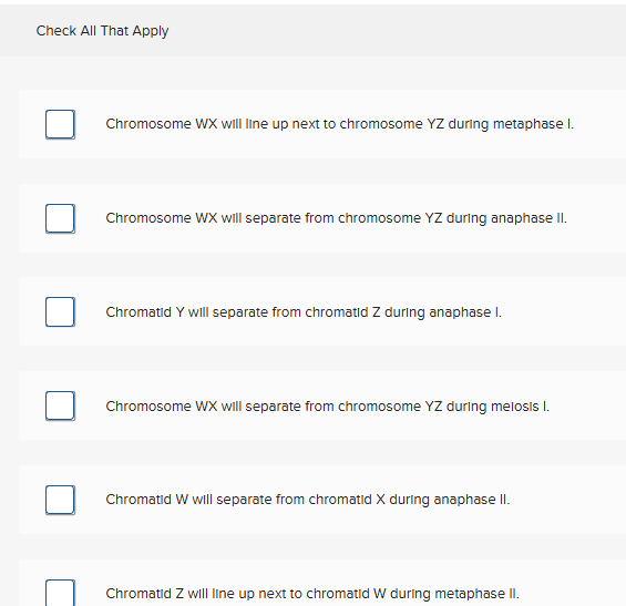 Solved Check All That ApplyChromosome WX will line up next | Chegg.com