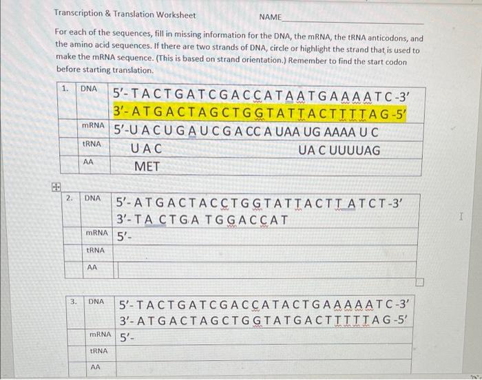 Solved Transcription & Translation Worksheet NAME For each | Chegg.com