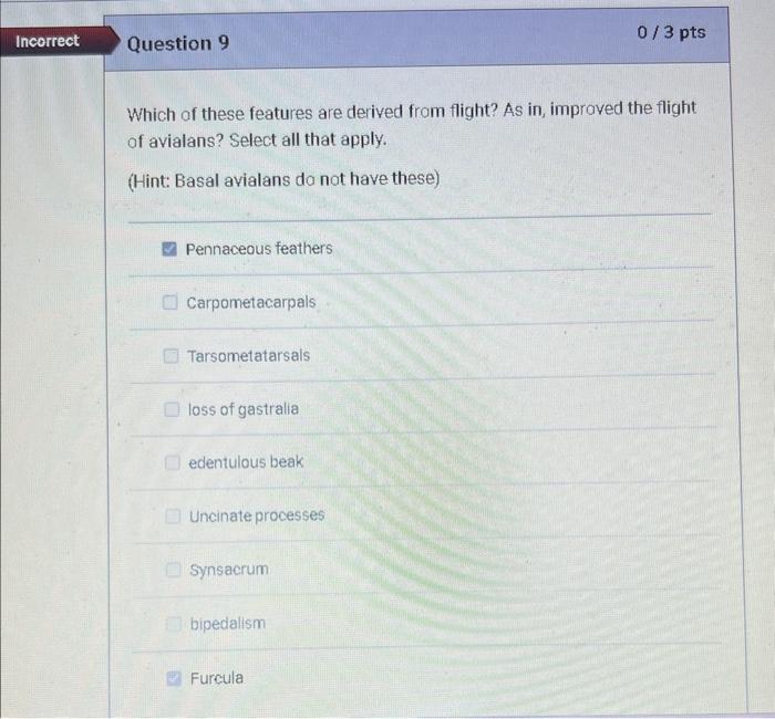 Solved Which af these features are derived from flight? As | Chegg.com